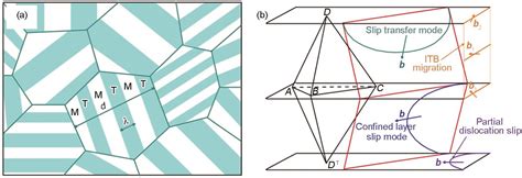 纳米孪晶金属和纳米孪晶共价材料的力学行为