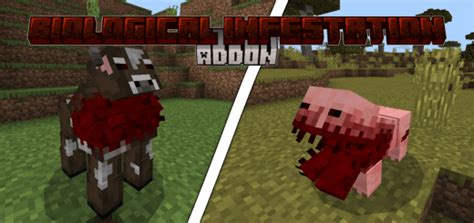 Download Minecraft But Your Xp Your Heart Addon In Minecraft Xp Mod