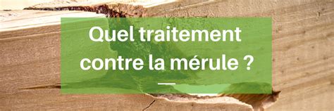 Quel traitement contre la mérule tout ce que vous devez savoir