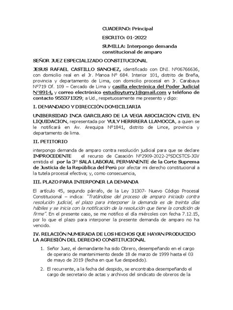 Amparo Castillo Nuevo Pdf Demanda Judicial Derecho Constitucional