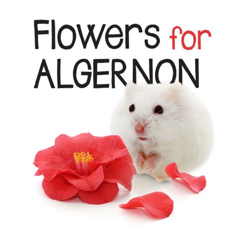 Flowers For Algernon Quotes About Mouse Best Flower Site