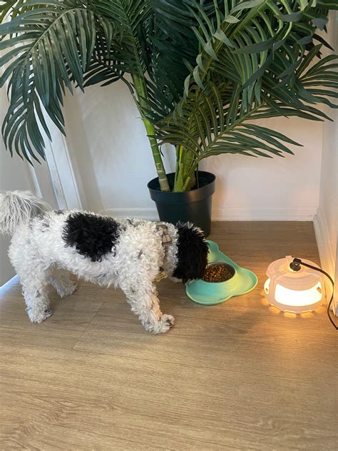 Bug Md Bug Md Added A New Photo