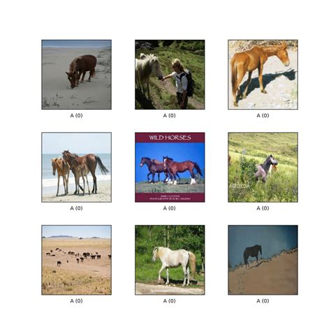 Cycle Gan Tensorflow Datasets