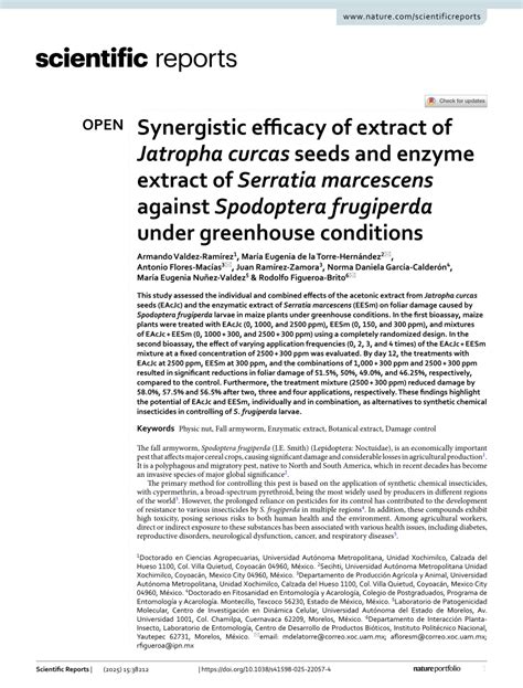 Pdf Synergistic Efficacy Of Extract Of Jatropha Curcas Seeds And