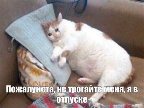 Мем Пожалуйста не трогайте меня я в отпуске Все шаблоны Meme