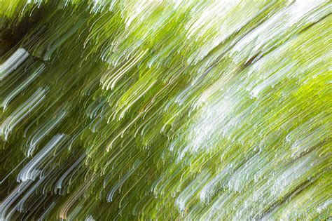 light input on behance