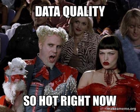 Data Quality So Hot Right Now So Hot Right Now Meme Generator