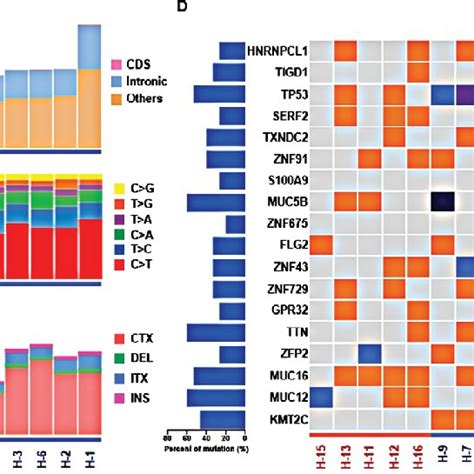 Genetic Alterations And Significant Mutated Genes In Her2 And