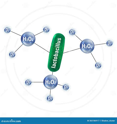 Hydrogen Peroxide Molecule Skeletal Formula Vector Illustration