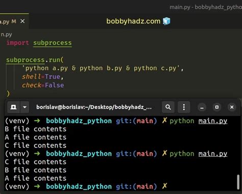 Run Multiple Python Files Concurrently One After The Other Bobbyhadz