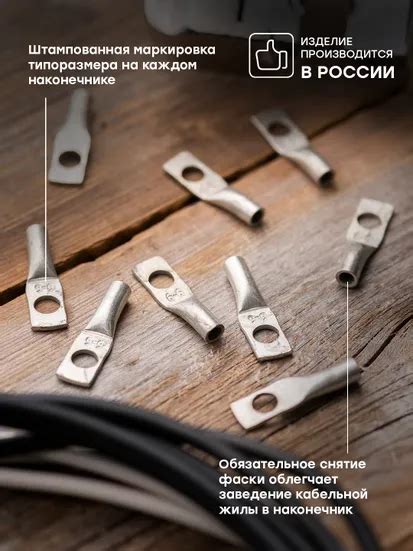 Наконечник медный луженый ТМЛ Din 6 6 Ekf Proxima купить за 23 руб в