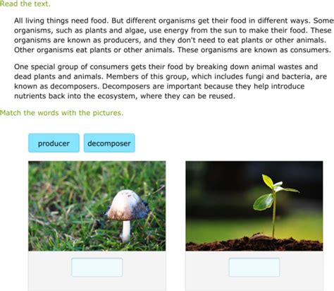 Ixl Determine The Meaning Of Domain Specific Words With Pictures