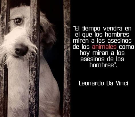 Citas Celebres Sobre El Maltrato Animal Marcus Reid