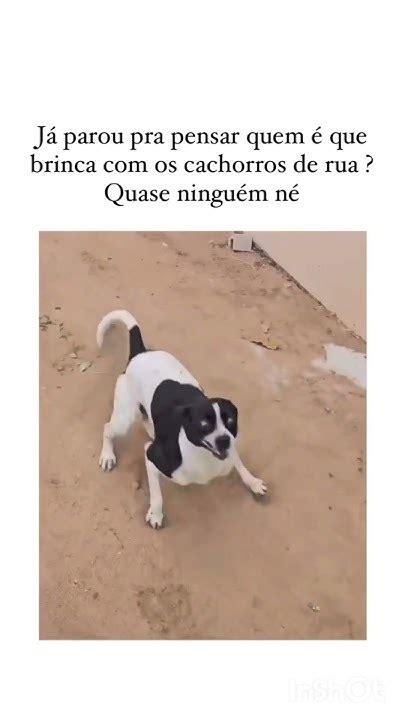 Viralvideo Viralshorts Shorts Memes Funny F Youtube