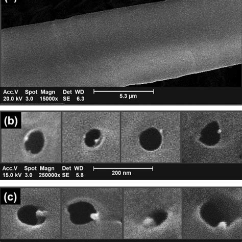 Diameter Vs Teos Concentration Of Silica Layer Coated Gold