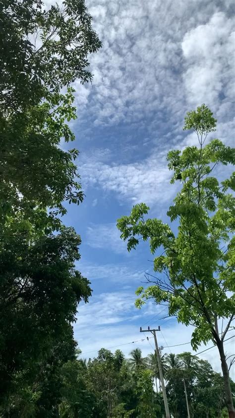 Di Bawah Langit Perjalanan Pulang Fotografi Matahari Terbenam Langit