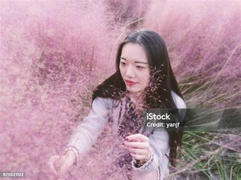 핑크 Hairawn Muhly 필드에 앉아 하얀 스웨터를 입고 아름 다운 젊은 중국 여자의 초상화 20 29세에 대한 스톡 사진
