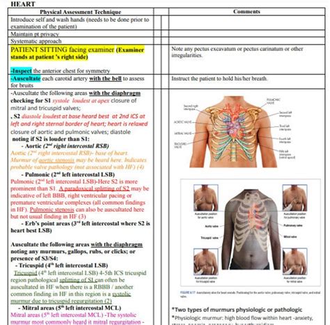 FNP Advanced Cardiovascular System Check Off Study Guide With Etsy