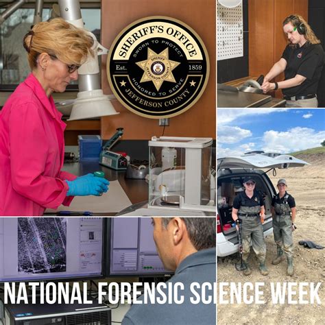 Jeffco Sheriff Colorado Jobs On Linkedin