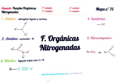 Mapa Mental Sobre FunÇÕes Nitrogenadas Maps4study