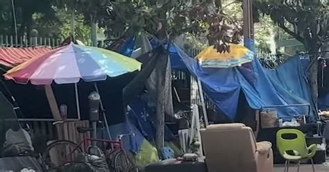 Hollywood Residents Plead For Help As Homeless Take Over Naked