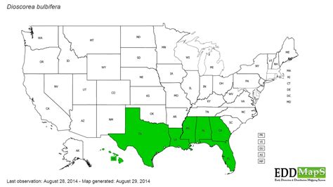 Air Potato Dioscorea Bulbifera Eddmaps State Distribution