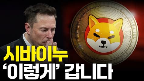 시바이누코인 전망 시바이누 이렇게 갑니다 비트코인하락 밈코인 비트코인상승 Shib Youtube