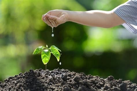Comment Sauver Et Protéger Notre Environnement Ecologie Blogfr