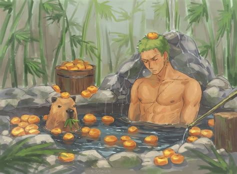 Roronoa Zoro One Piece Drawn By Sonich Danbooru