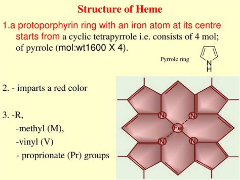 Ppt Hemoglobin Powerpoint Presentation Free Download Id 1904217