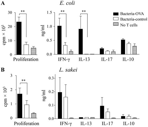 T Cell Proliferation And Cytokine Production In Response To E Coli And