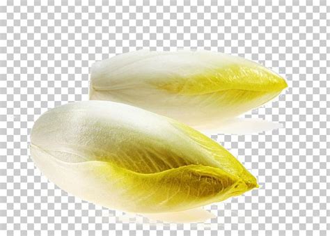 Chicory Taste Bitterness Vegetable Endive Png Clipart Bitterness