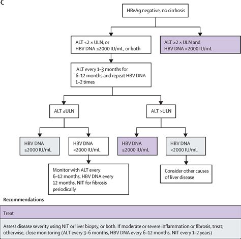 Hepatitis B Treatment Jaundice At Tami Lumley Blog
