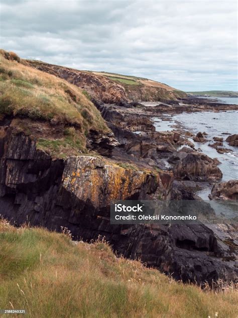 그림 같은 풍경입니다 야생 식물은 돌이 많은 토양에서 자랍니다 바다 해안 위의 흐린 하늘 야생 대서양 길 구름 아래 언덕의 전망 0명에 대한 스톡 사진 및 기타 이미지