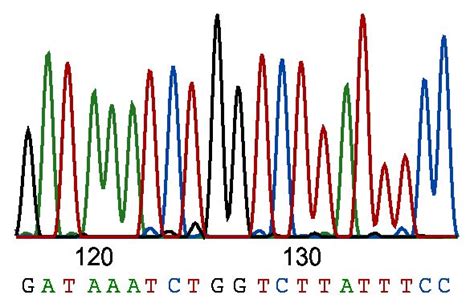 Chapter 9 Bioinformatics Introduction To Bioinformatics