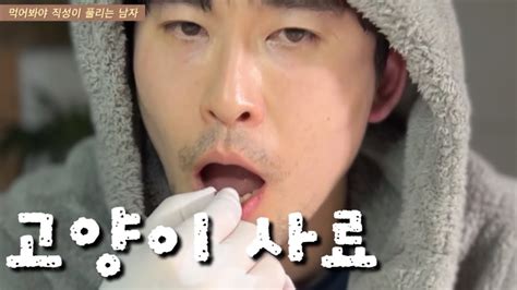 로얄캐닌만 먹는 고양이는 다른 사료를 먹을까 Youtube