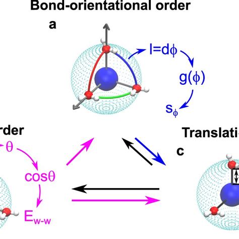 Hierarchical Structural Ordering Of The Ion Solvation Shell A
