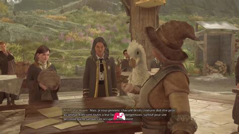 Hogwarts Legacy Beast Class Nationhive