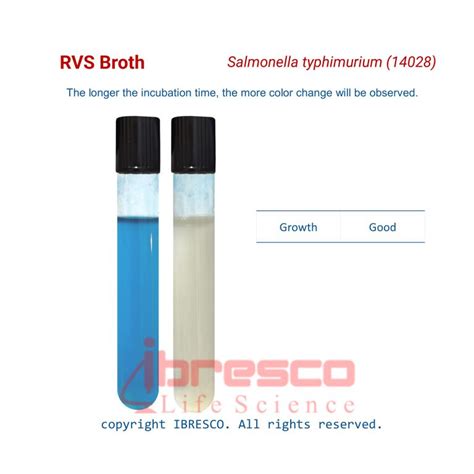 Rappaport Vassiliadis Broth Rvs Ibresco