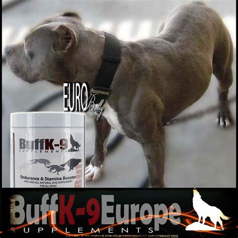 Buff K 9 Supplements Proudly Presents “endurance Animals