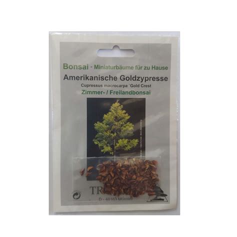 Chiparos Macrocarpa Bonsai 55 Seminte Emagro