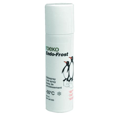 Coltene Endo Frost Spray 200ml 84855 Kent Express