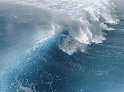 El Select 组件还可以这样玩？ 知乎