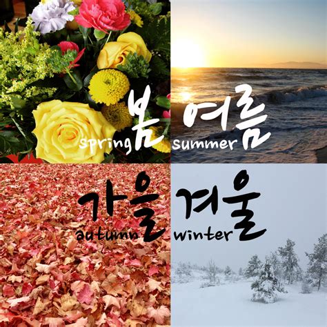 Season The Four Seasons Spring