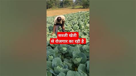 Pnb Rseti Seraikella Youtube