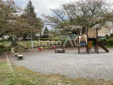 誰もいない公園 滑り台 ベンチ 木 広場 No 4788136｜写真素材なら「写真ac」無料（フリー）ダウンロードok