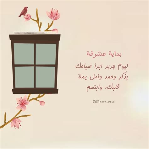 اشراقة زاجلالصباح رسائل ☁️💕