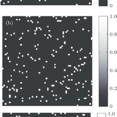 A Random Signal B Demodulation Without Turbid Media And Noise C