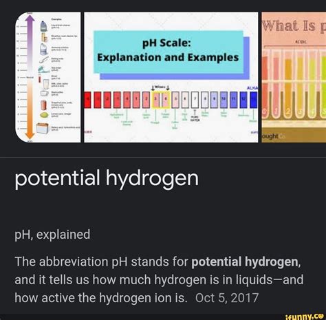 PH Scale Explanation And Examples Potential Hydrogen PH Explained The