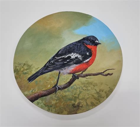 Scarlet Robin The Artists Shed